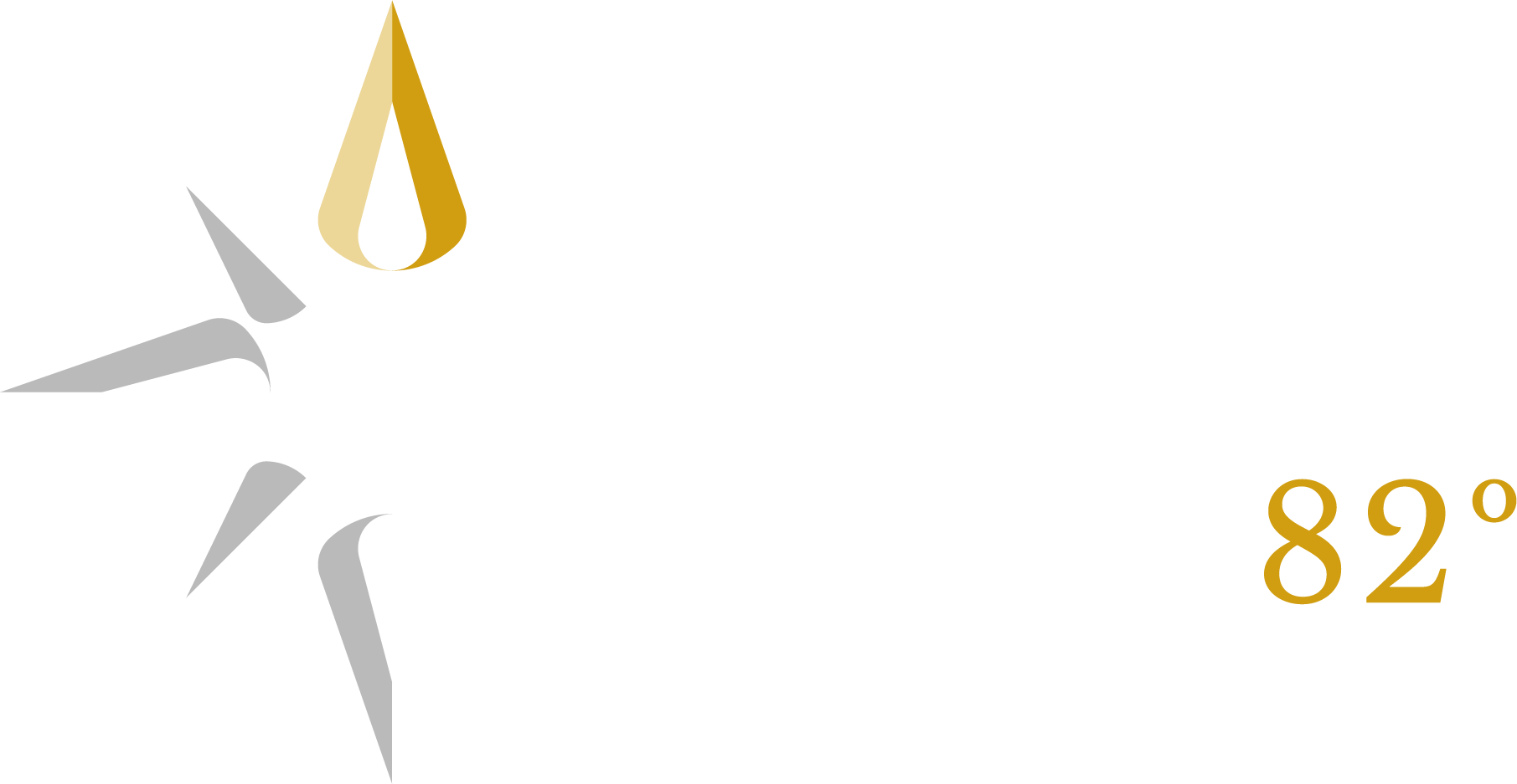 Homepage - Northstar ns82