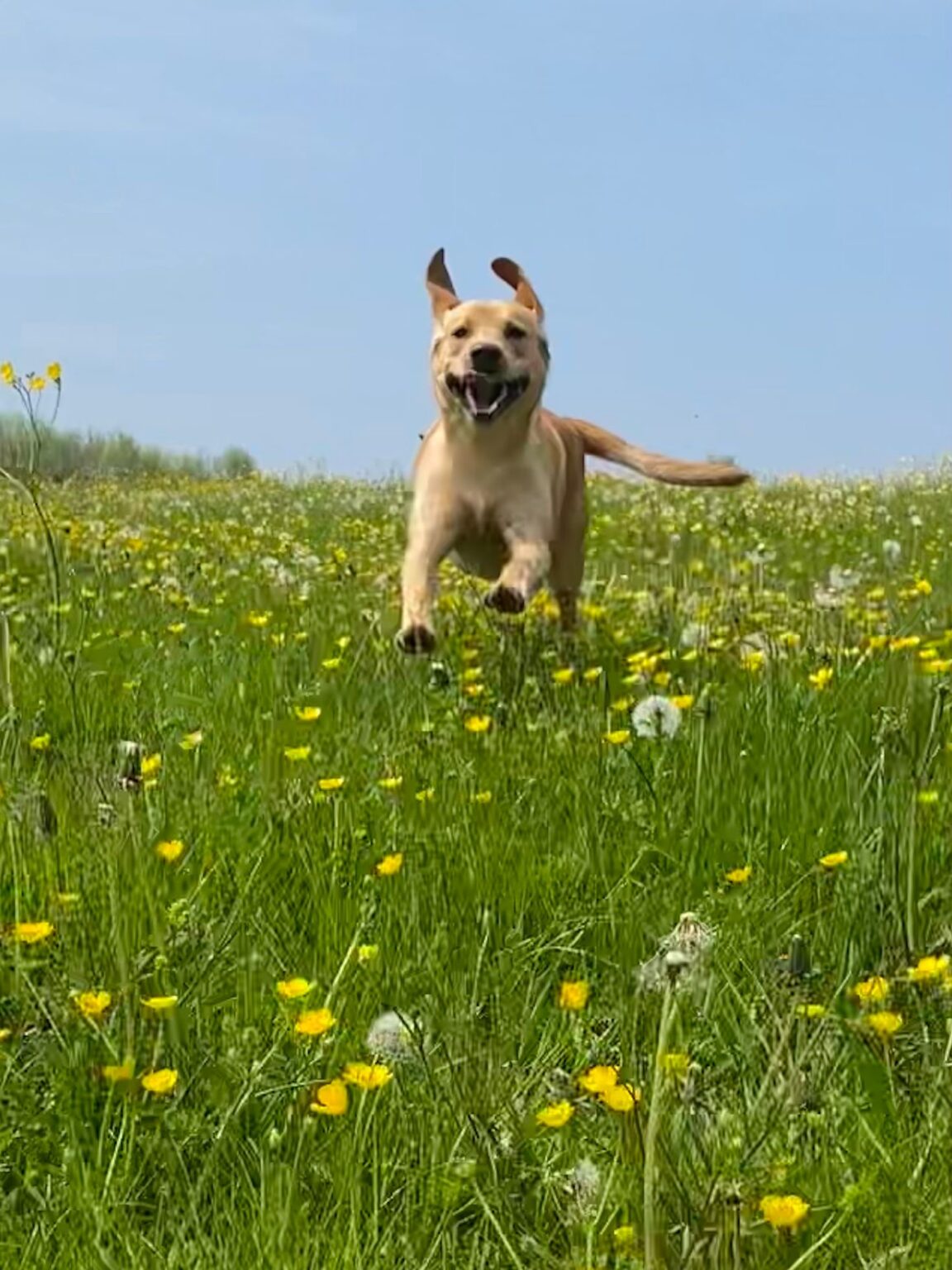 Who We Are - Northstar ns82